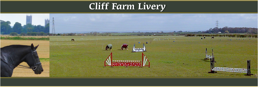 Cliff Farm Livery - DIY and Assisted Livery